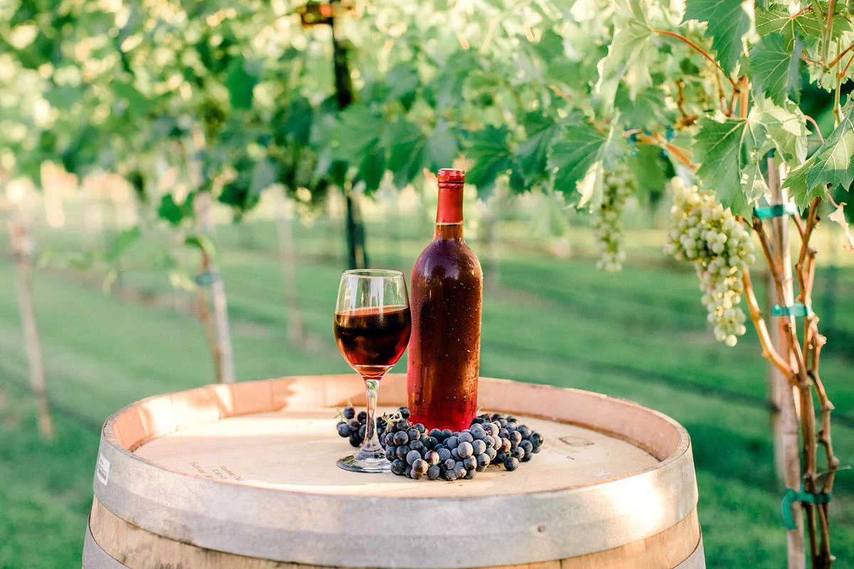 7 Tips For Traveling Oklahoma Wine Trails | OGIC